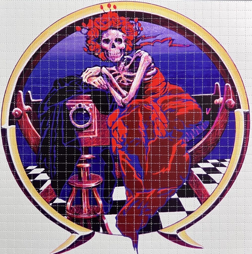 ROSE PHOTOGRAPHER - BLOTTER - Mouse Studios